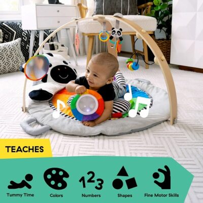 Baby Einstein Zen’s Activity Milestones Plush Gym, Unisex, Multicolor ...